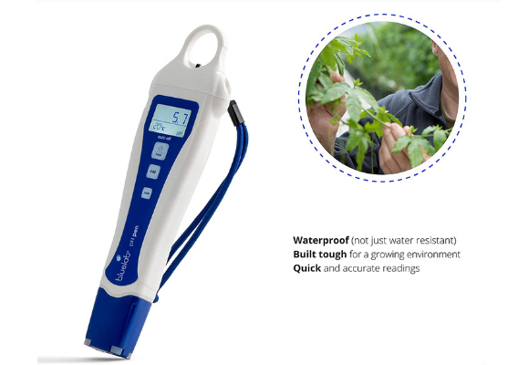 Other Supplies - BLOOM TRUST CO.