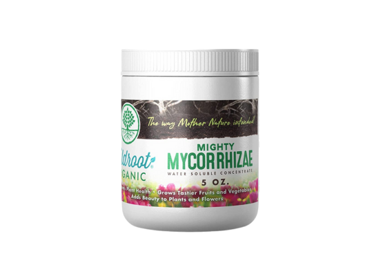 Other Supplies - BLOOM TRUST CO.